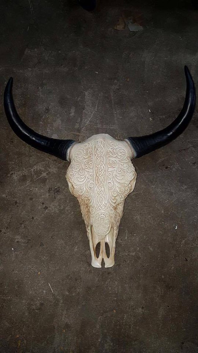 Buffel schedel skull bedrukt - Skull voor aan de muur - Dierenhoofd ...