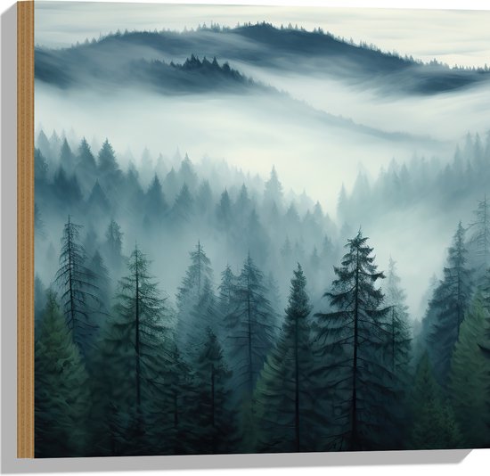 Hout - Bomen - Bossen - Mist - 50x50 cm - 9 mm dik - Foto op Hout (Met ...