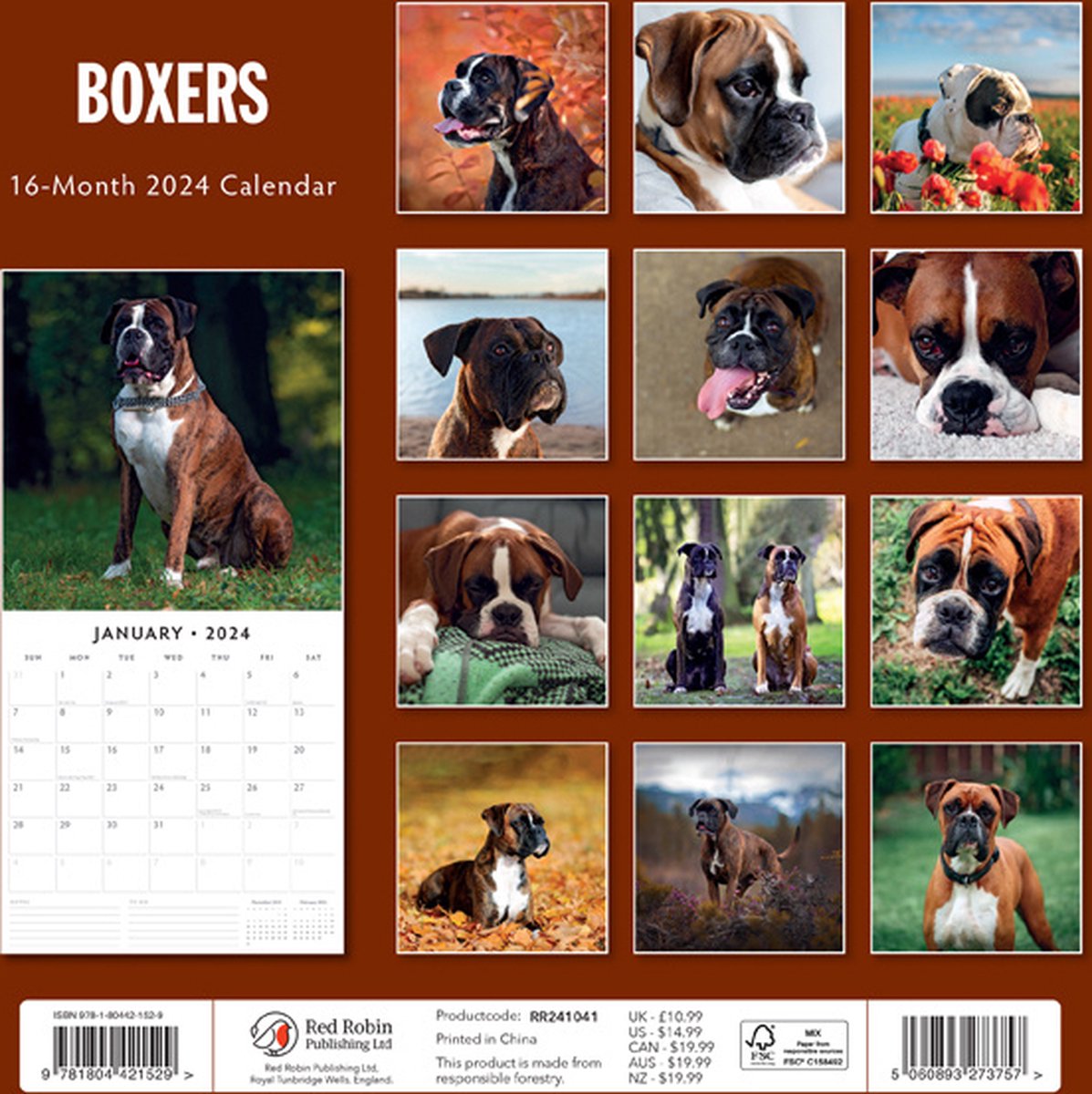 Boxer Kalender 2024 | bol.com