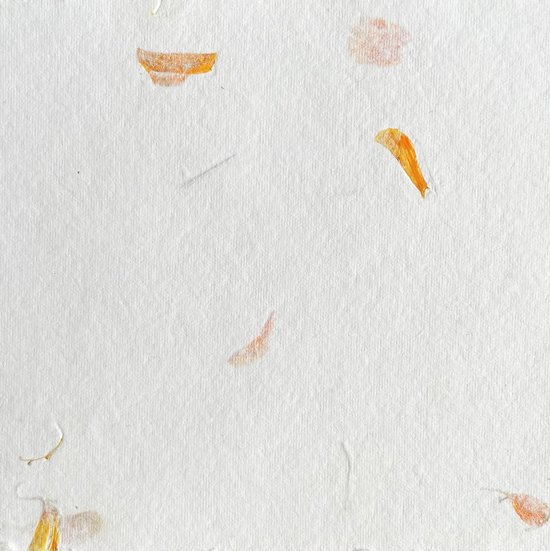 Set van 25 vel Tree Free A4 katoenpapier met goudsbloem, 200 grs | bol