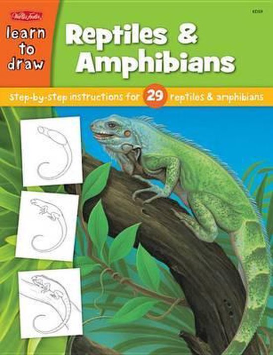 Draw And Color Reptiles & Amphibians, Diana Fisher | 9781560109945 ...