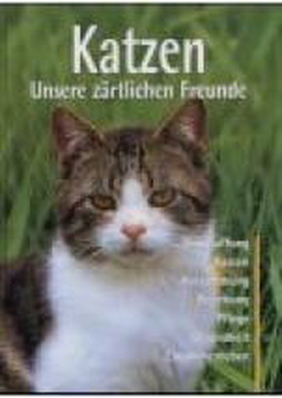 Katten, NB | 9783829905268 | Boeken | bol