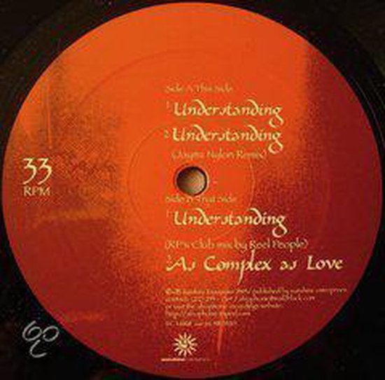 Understanding, Robb Scott | Muziek | bol