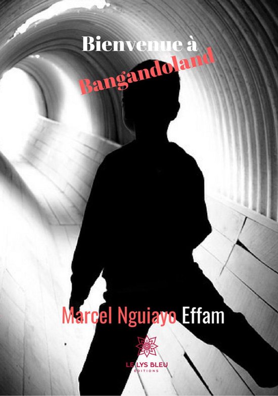 Bienvenue à Bangandoland (ebook), Marcel Nguiayo Effam | 9782378772802 ...
