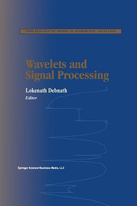 Wavelets and Signal Processing | 9781461265788 | Boeken | bol.com