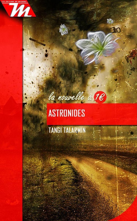 Astronides (ebook), Tangi Talarmin | 1230002545455 | Boeken | bol.com