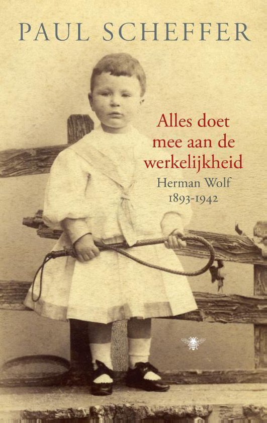 Alles doet mee aan de werkelijkheid, Paul Scheffer | 9789023476351 ...