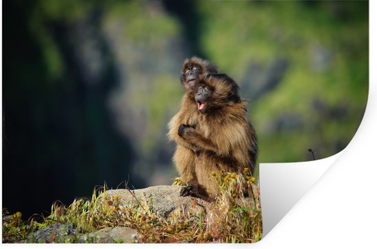 Muurstickers - Sticker Folie - Apen - Planten - Stenen - Familie ...