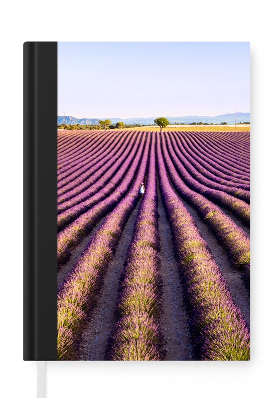 Carnet - Carnet d'écriture - Champs de lavande en Provence de France ...