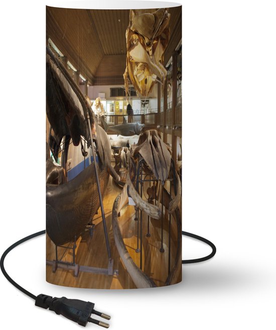 Lampe Natural History Museum - Squelette d'une grande baleine au ...