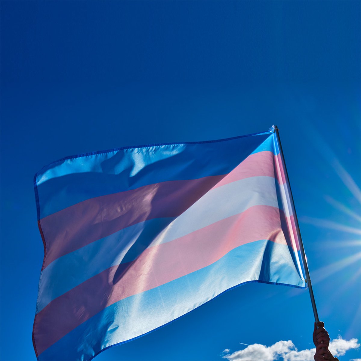 Transgender Pride Vlag - Trans Flag - Transgenders - Gay Pride - Gay Community - LGBT... | bol.com