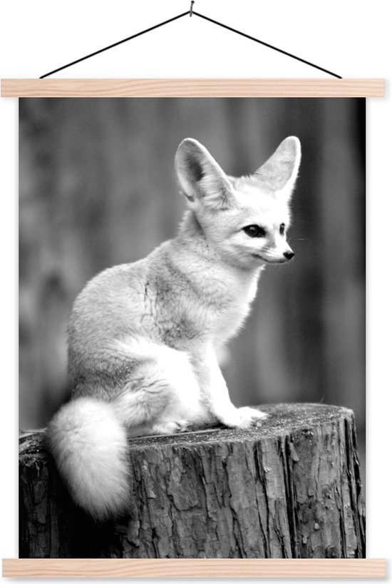 Schoolplaat - Fennek op een boomstam - zwart wit - 90x120 cm - Blanke latten | bol.com