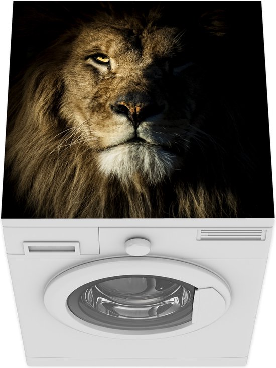 Protège machine à laver - Tapis de machine à laver - Lion - Léger ...