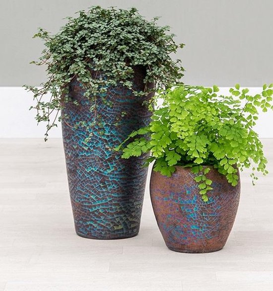 Hoge pot Amora Luster 18x35 cm bloempot voor binnen | bol