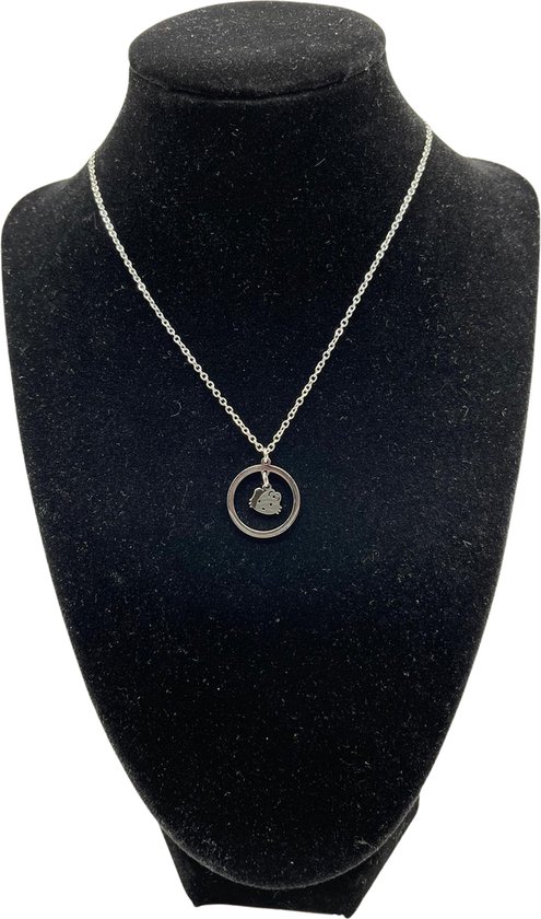 Katten, Kat, Hanger, Ketting, Katje, Poes, Kitty, Kater, Kattenliefde | bol