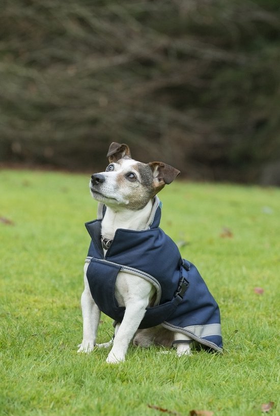 Freedom Dog Rug 40 | bol.com