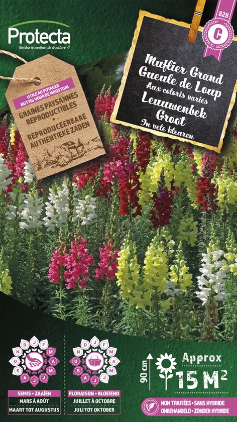 Protecta Bloemen zaden: Leeuwenbek Groot gemengd | bol
