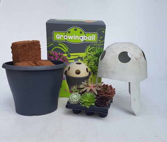 Growing Ball ® | bol