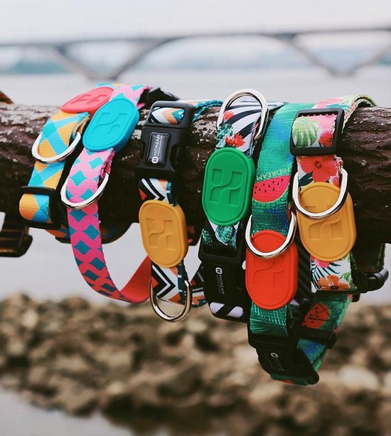 HiDream Profusion hond set - leiband en halsband - verstelbaar - Honden ...