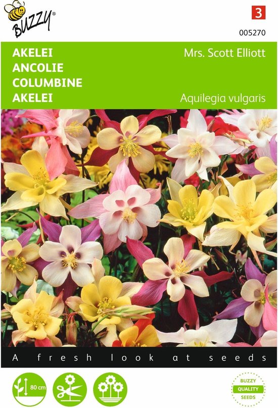 2 stuks - Buzzy - Aquilegia hybrida Mrs Scott Elliott | bol