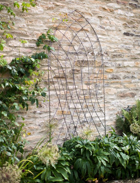 Barrington Klimrek Planten metaal - Arch | bol