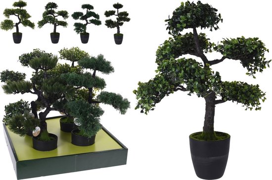 Homestyle Bonsai Boom In Pot - Decoratie - 50 cm Assorti | bol