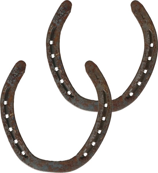 Decoratie hoefijzer van metaal - Set van 2x stuks - 13 cm - paarden of ...