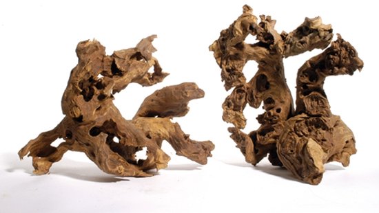 Mopani wood Medium | bol