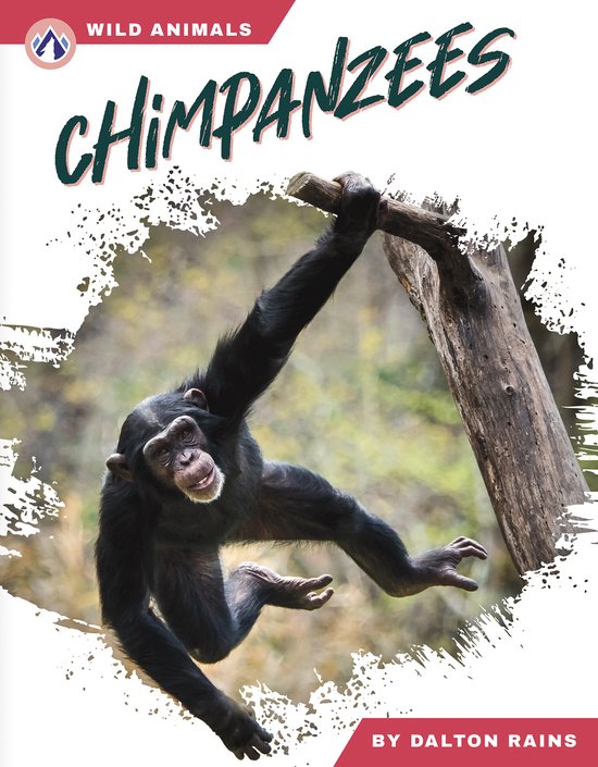 Wild Animals Set 2- Chimpanzees, Dalton Rains | 9798892505468 | Boeken ...