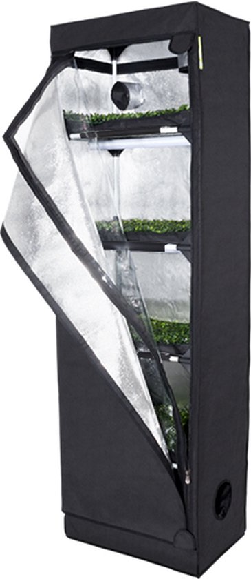 Garden High Pro Probox Propagator tent L - 60 x 40 x 200 cm - Stekken ...