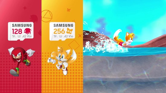 Samsung Sonic the Hedgehog™ PRO Plus - microSD Card - 1TB | bol