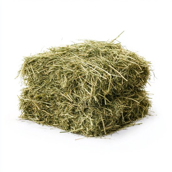 PolkaHome Hooi 5kg – Natuurlijk Knaagdierenvoer | Hoogwaardig Hooi voor ...