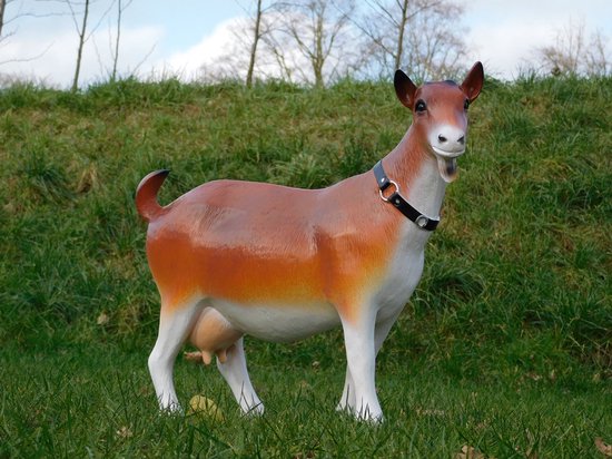 Beeld Geit - 55 cm - Polystone | bol