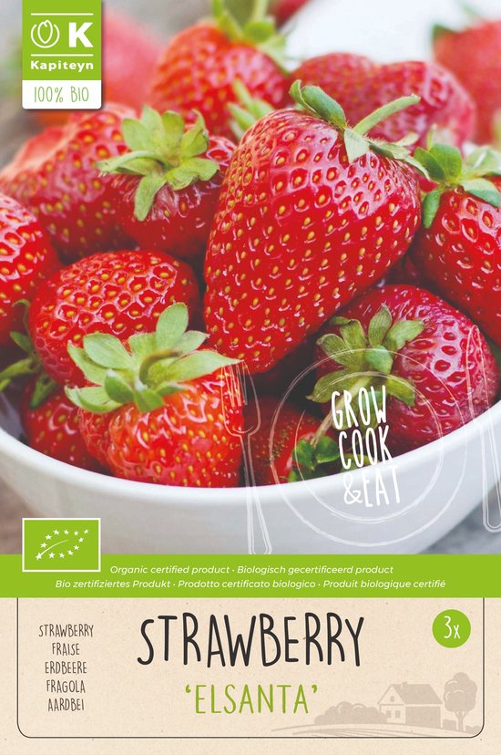 Fragaria 'Elsanta' - Biologische aardbei - 3 stekken | bol