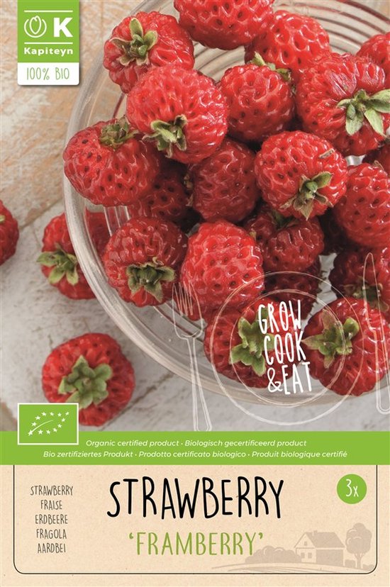 Fragaria 'Framberry' - Biologische framboos-aardbei - 3 stekken | bol