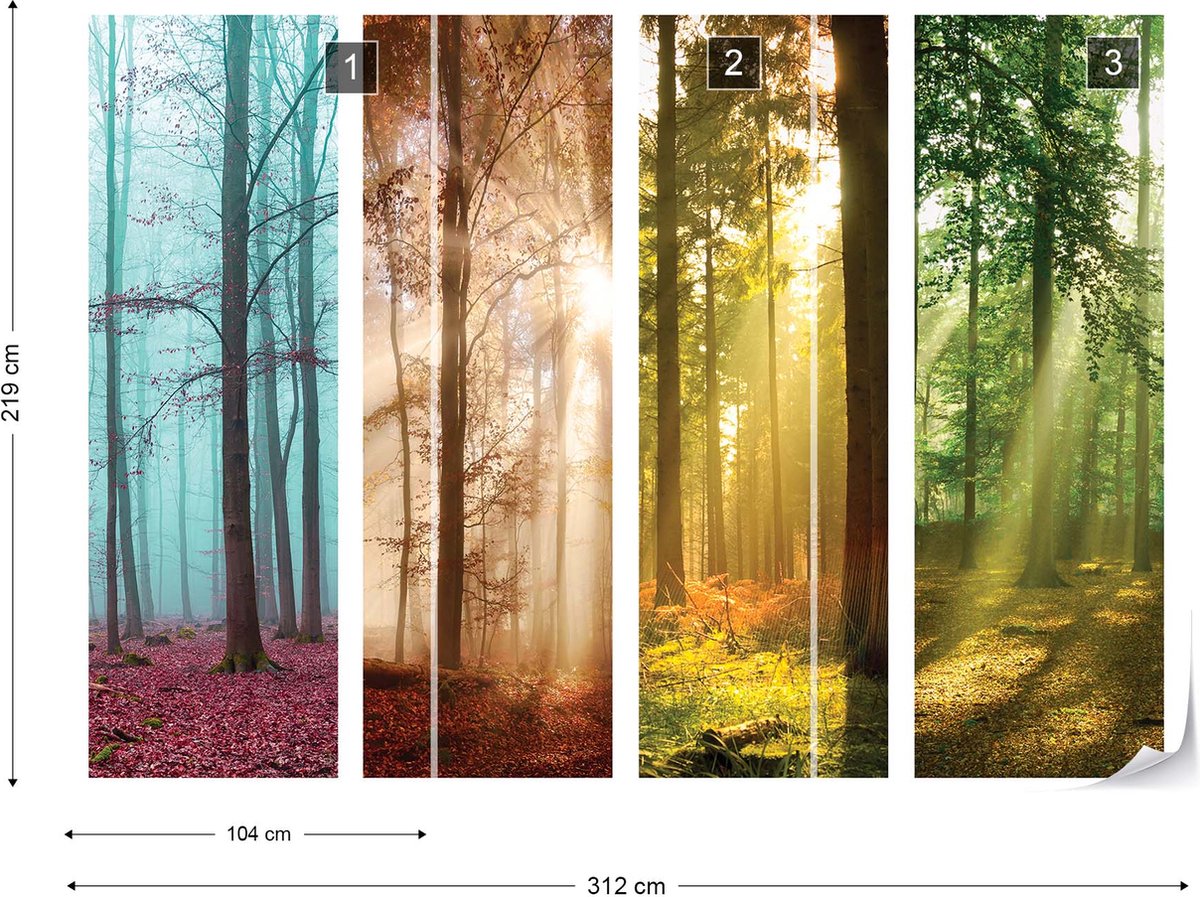 Fotobehang - Vlies Behang - Bos met de 4 Jaargetijden - 312 x 219 cm ...