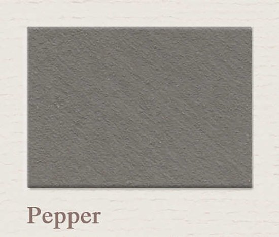 Painting the Past Proefpotje Rustica Pepper (R102) 60 mL | bol