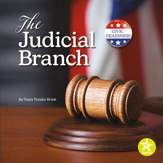 Civic Readiness - The Judicial Branch (ebook), Tracy Vonder Brink ...