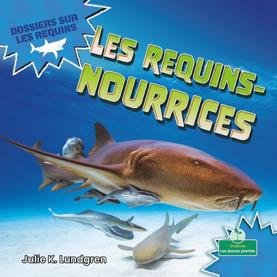 Dossiers sur les requins (Shark Files) - Les requins-nourrices (Nurse ...