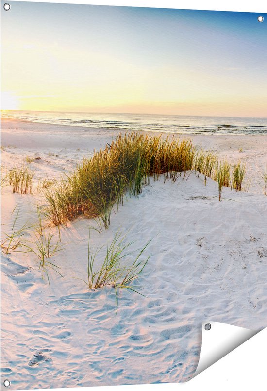 Gards Tuinposter Strand en Duinen tijdens Zonsondergang - 80x100 cm - Tuindoek -... | bol