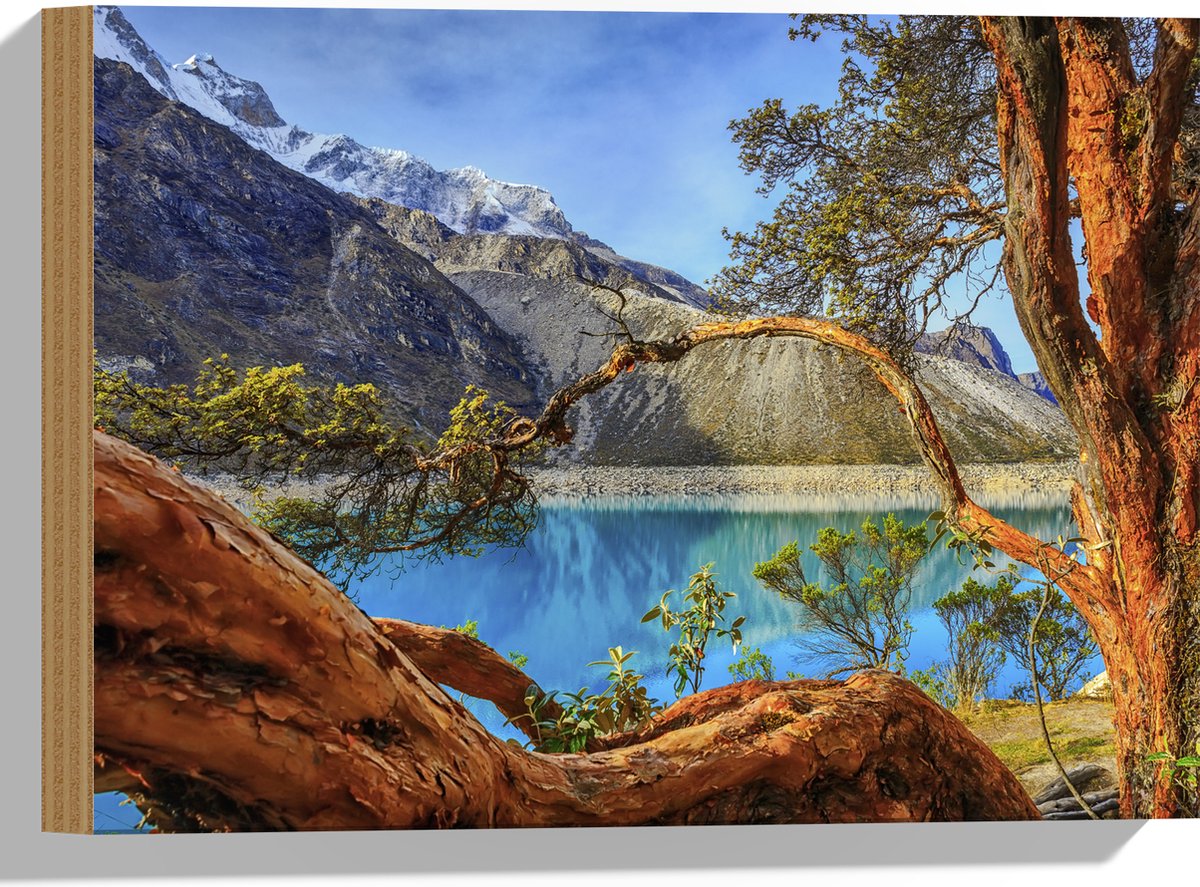 Hout - Bomen en Takken hangend over Blauw Water in het Dal van de ...