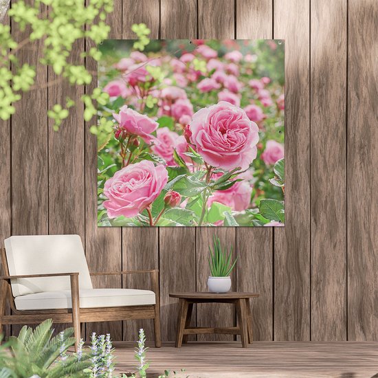 Gards Poster de Jardin Champ de Fleurs de Roses Roses - 100x100 cm ...