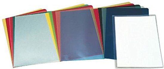 Organiser Map Esselte Transparant Polypropyleen Din A4 100 Stuks | bol