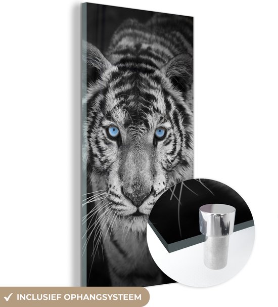 Glasschilderij - Foto op glas - Acrylglas - Dieren - Tijger - Ogen - Blauw - 20x40 cm... | bol