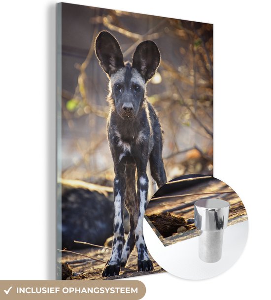 MuchoWow® Glasschilderij 120x160 cm - Schilderij acrylglas - Pup van ...