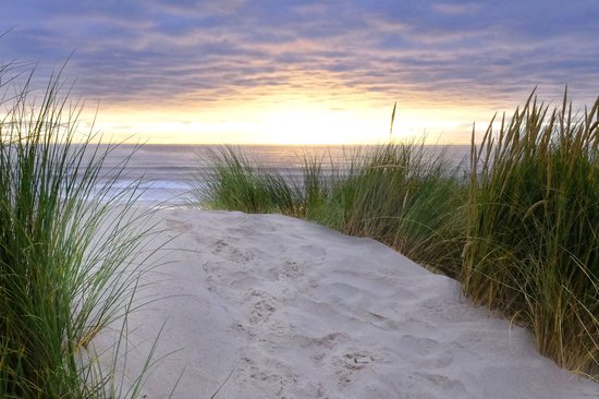 Dibond - Zee - Strand in wit / zwart / bruin / blauw / groen - 120 x 180 cm | bol