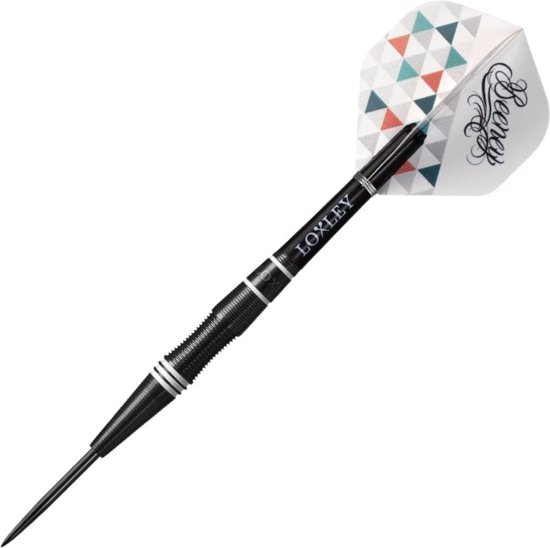Loxley Aaron Beeney 90% - Dartpijlen - 22 Gram | bol