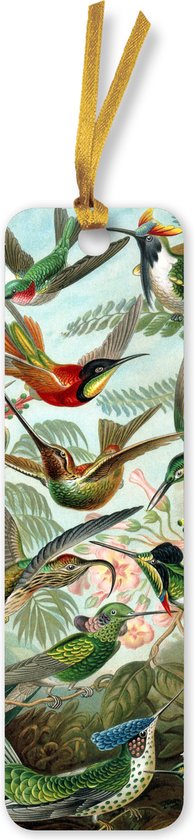 Flame Tree Bookmarks- Ernst Haeckel: Hummingbirds Bookmarks (pack of 10 ...
