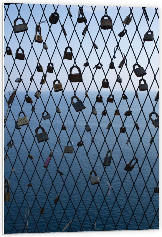 PVC Schuimplaat- Slotjes Vastgebonden aan het Hek - 60x90 cm Foto op ...