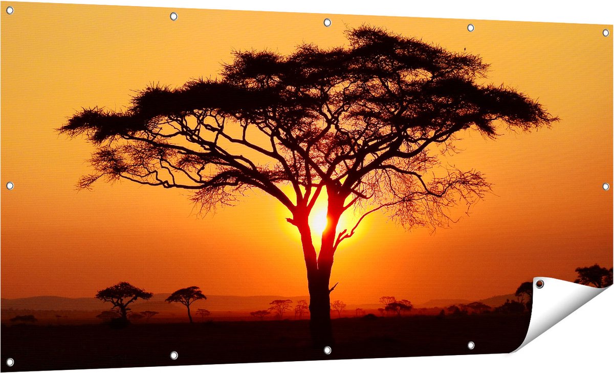 Gards Tuinposter Zonsondergang Achter een Savanne Boom - 160x80 cm ...